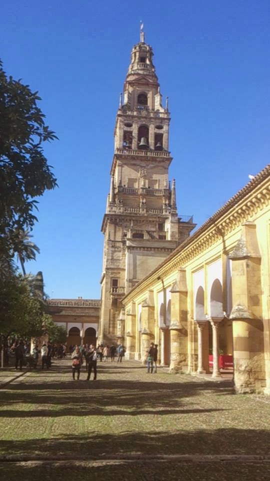 Nihil Obstat: FINAL DE PARTIDA EN CORDOBA (Mark Dewar)