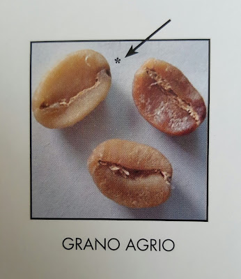 Defectos del café: Grano Negro