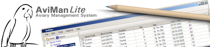AviMan: AviMan: Introduction