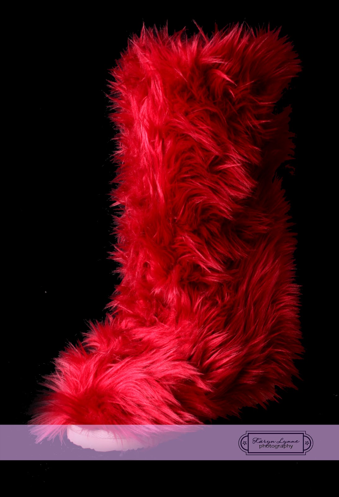 KarynLynne Photography: Fluffy Wuffies {Commercial}