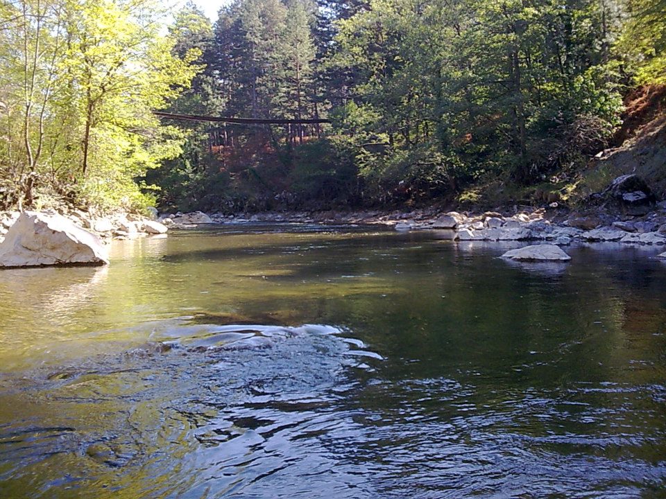 Careva Ćuprija - Krivaja: Ribolov