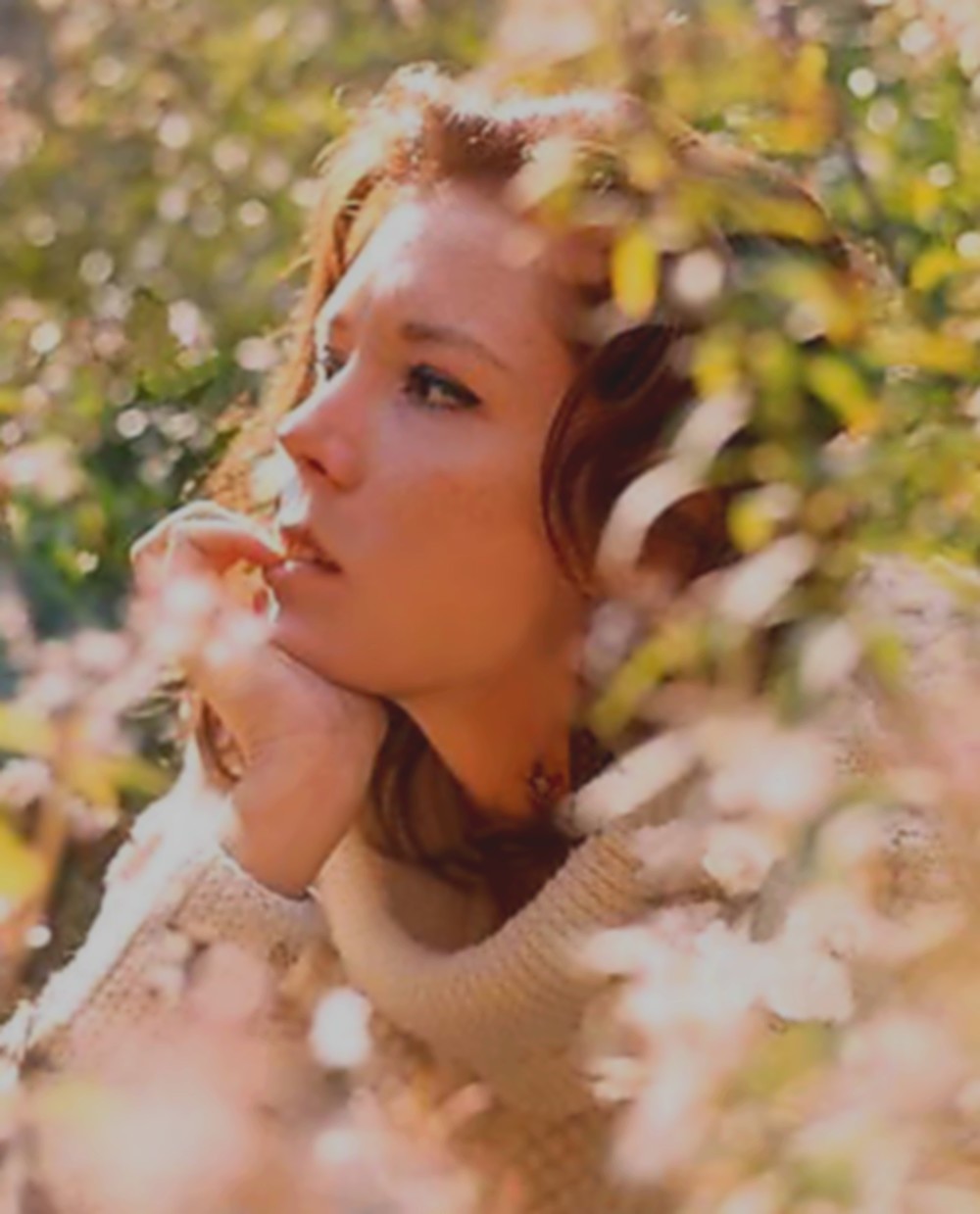 Dazzling Divas: Diana Rigg