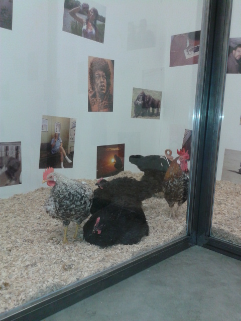 CRÓNICAS DE UN PÁJARO : Expo EXpo EXPo EXPO