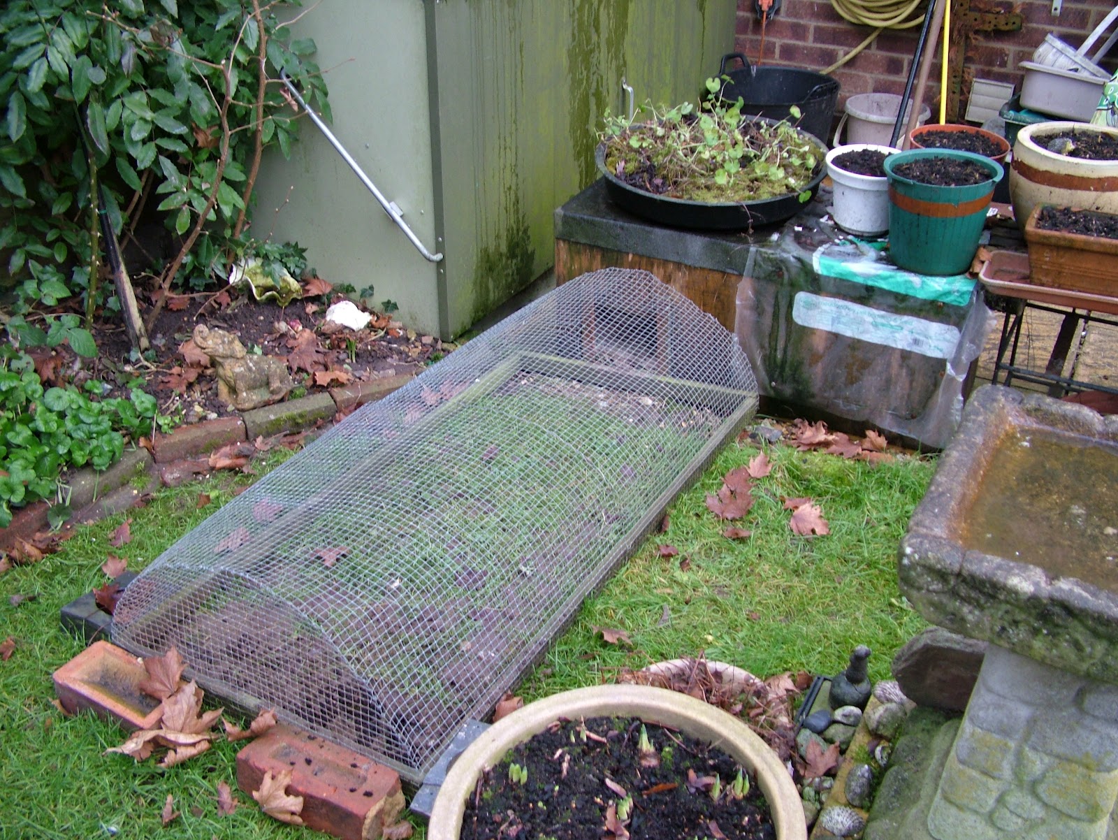 The Hedgehog Shed: Behind The Scenes