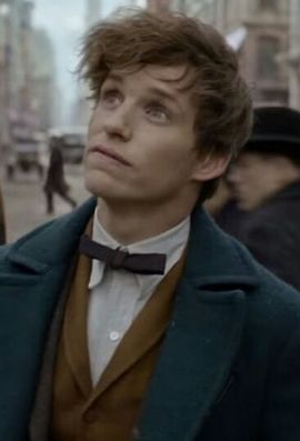 Harry Potter World: NEWTON SCAMANDER
