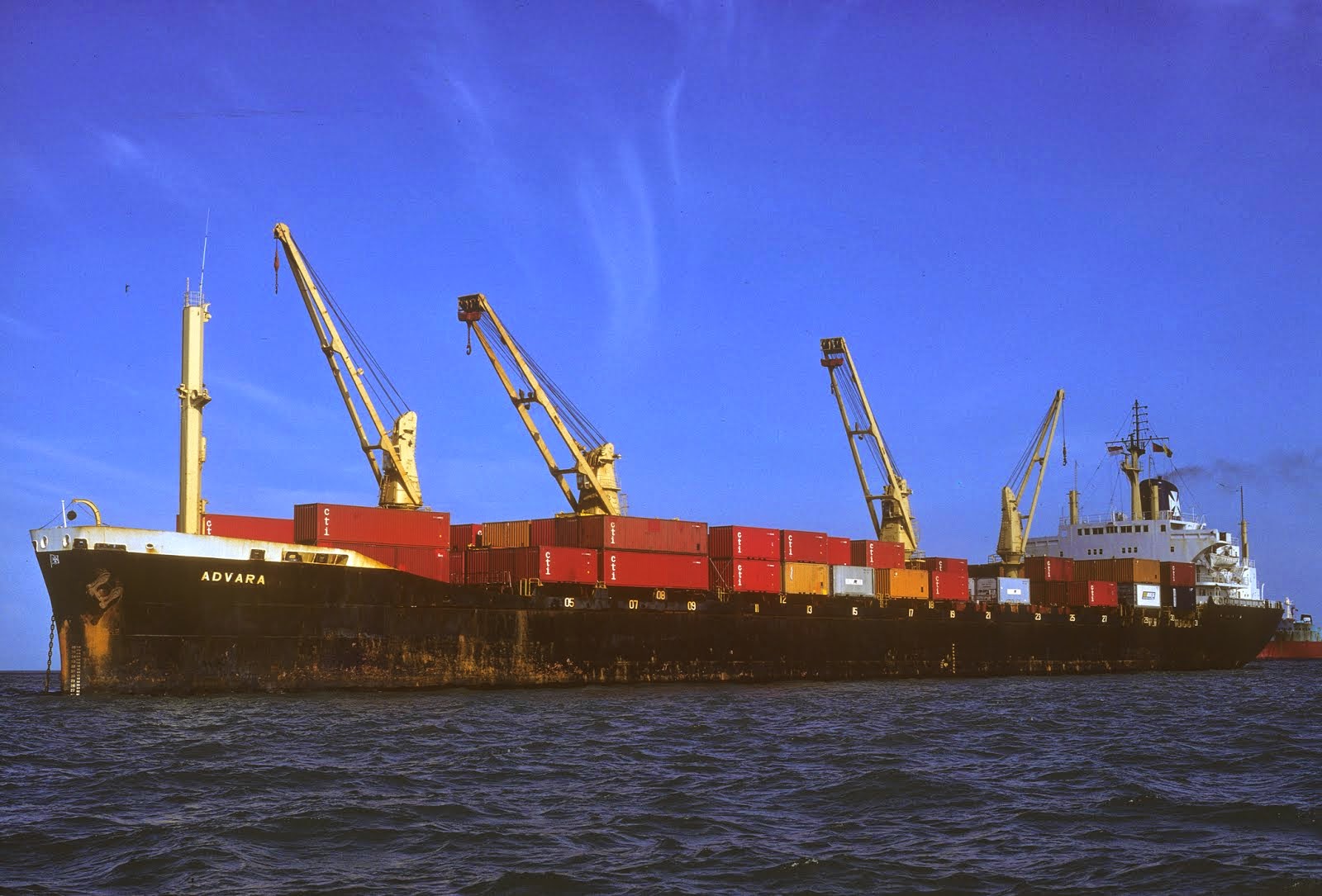 Advara's Bollogs: Advaran origins