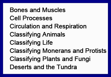 My (re)Viewpoint: Review of Visual Learning Systems