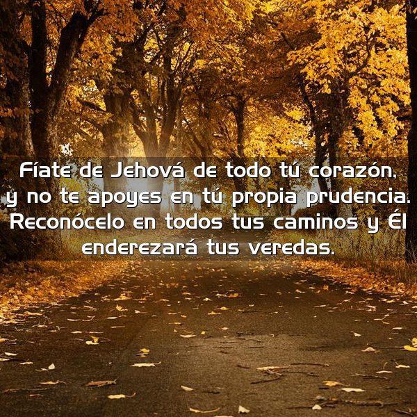 MIGAS de PAN en el camino: Fíate de Jehová de todo tu corazón MIGAS de PAN en el camino: Fíate de Jehová de todo tu corazón