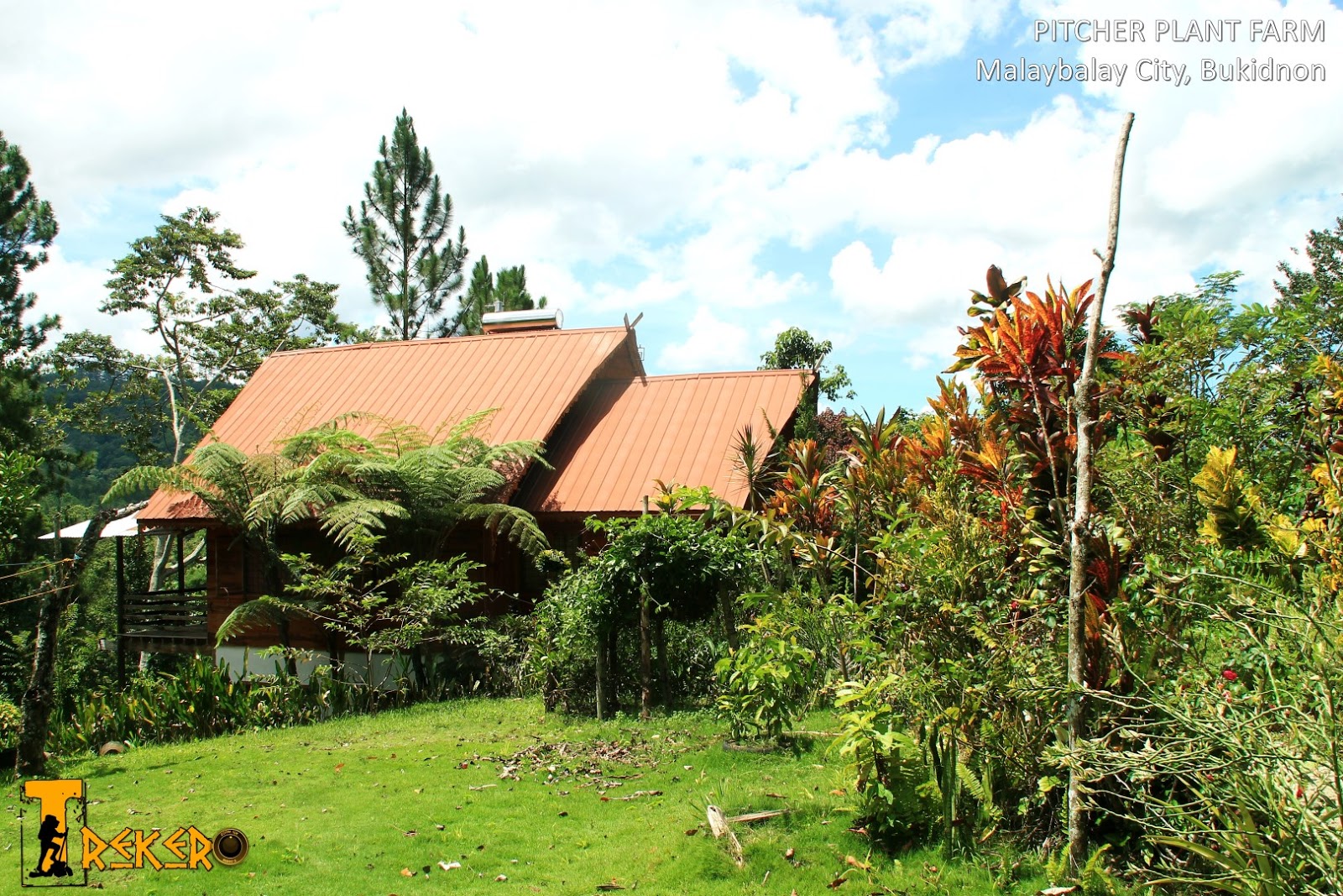TREKERO: PITCHER PLANT FARM: A Relaxing Staycation in Malaybalay City