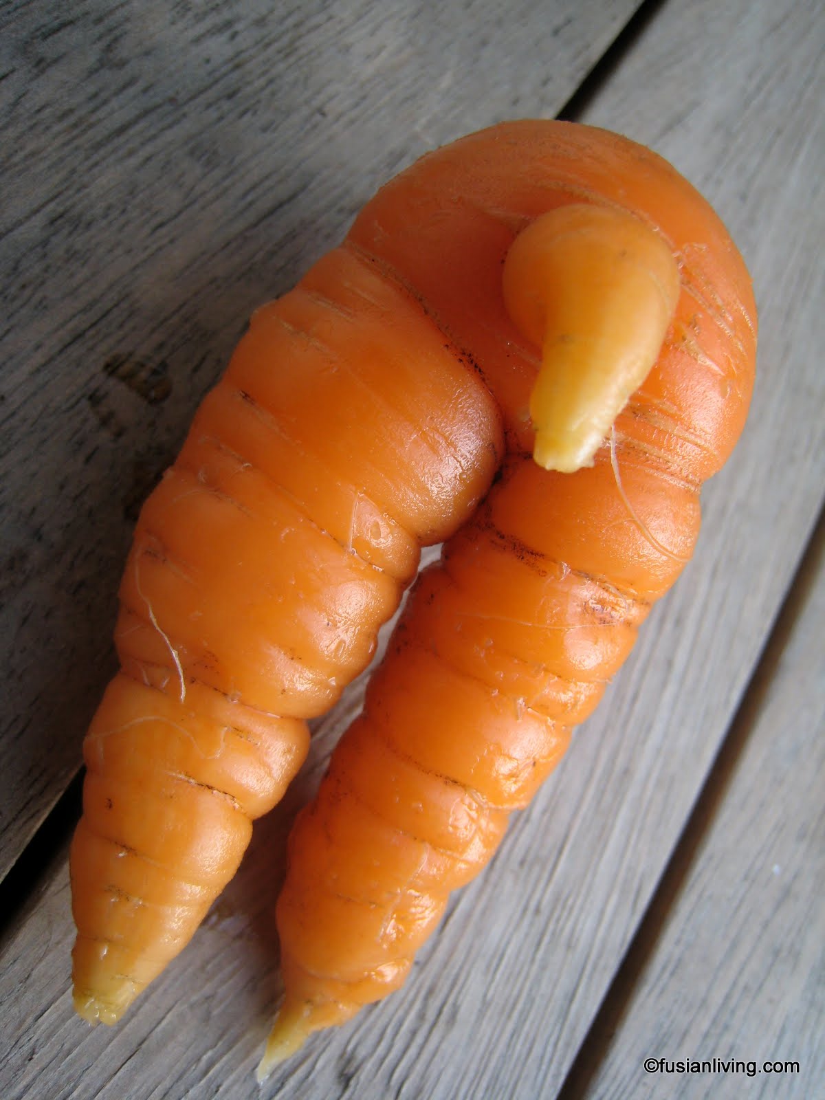 9876 Connecting Bloggers: Weird Carrot