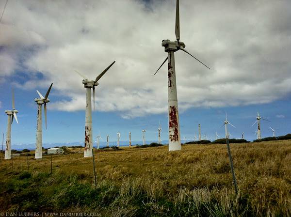 YankeePhil: Wind power blowing away.....