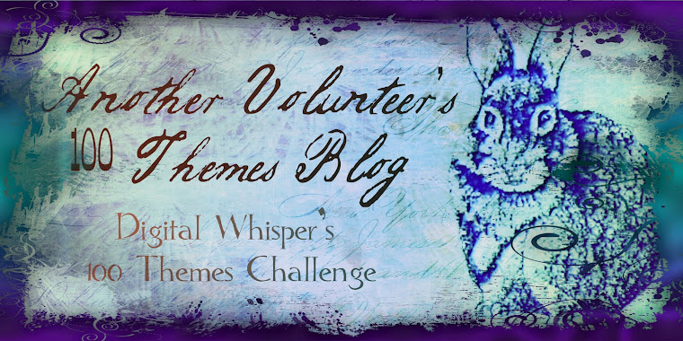 Another Volunteer's 100 Themes Blog: 100 Themes