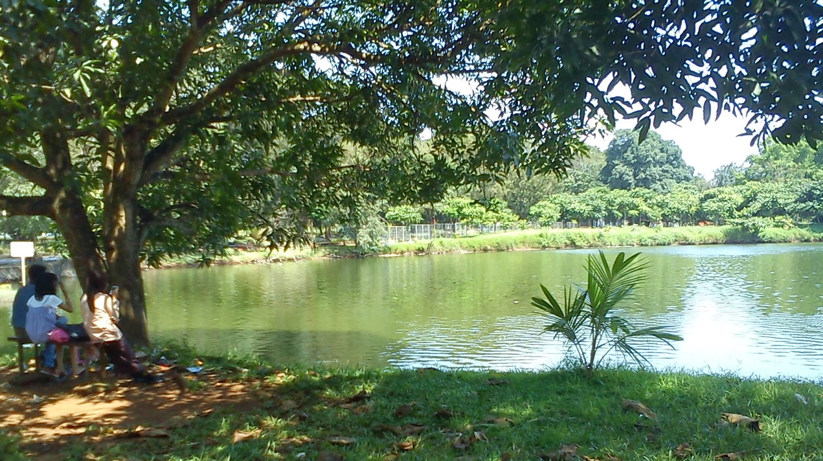 Danau Unhas yang Memukau ~ Cheny Nugrahayu