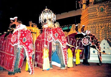 Srilanka Budget Tours: Kandy Esala Perahera