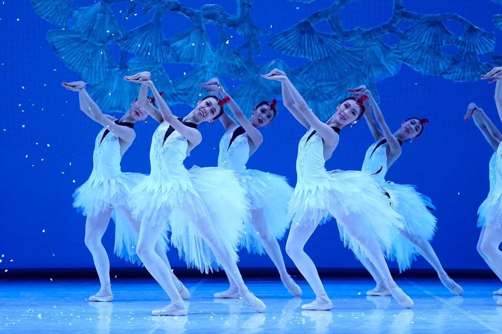 xavvy-licious: [Review] The Nutcracker (Chinese Version) by The ...