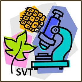 Le collège Jean Moulin