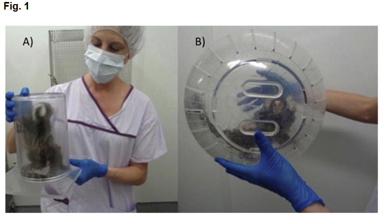 Primate Freedom: The Future of Primate Vivisection