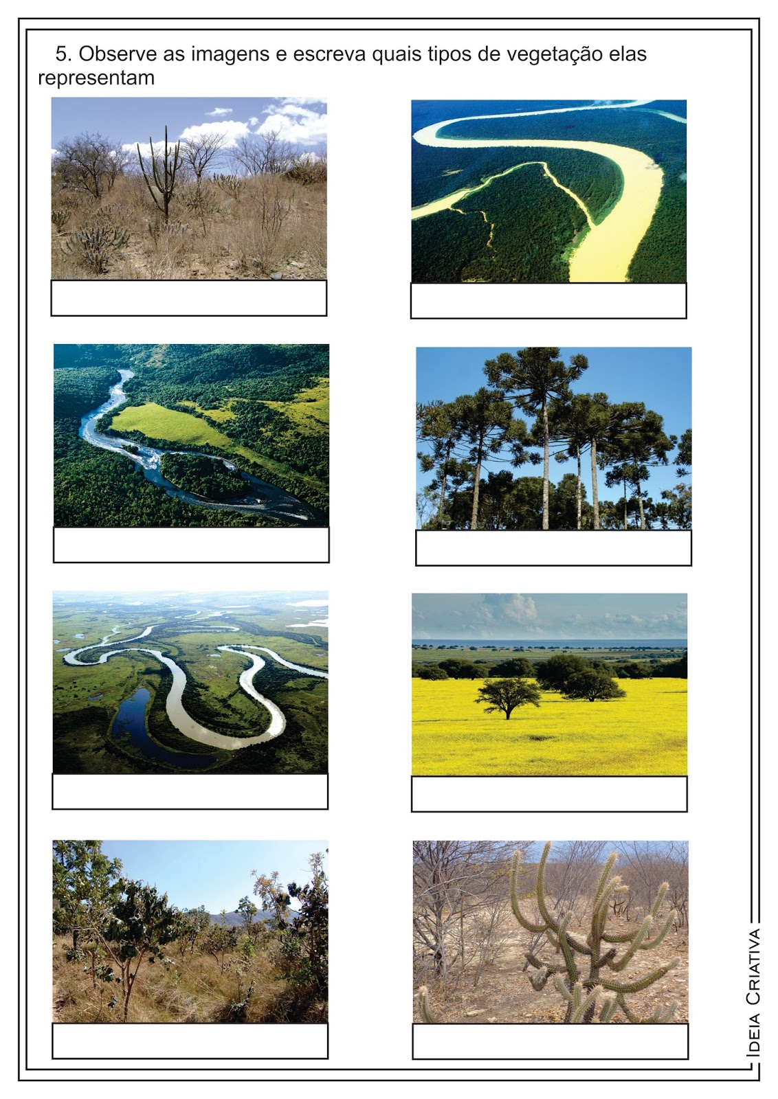 Atividades Tipos de Vegetação Geografia - Medidas Úteis