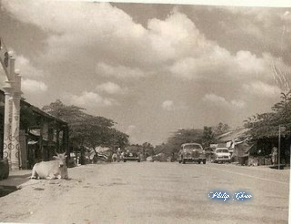 NOSTALGIA: Chong Pang Village 1959