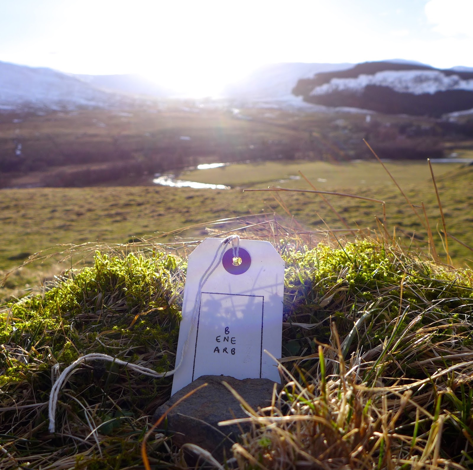 gathering: Word-mntn