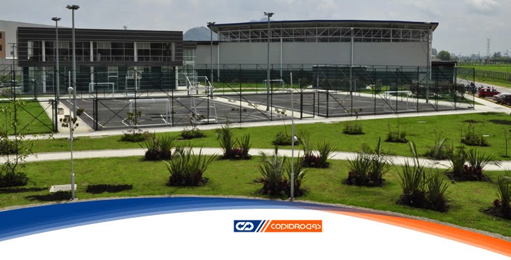 20 CASOS EMPRESARIALES: COPIDROGAS