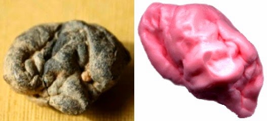 web oficial de Valeria Ardante: El chicle más antiguo del mundo