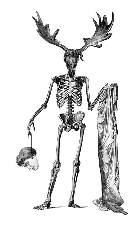 Fusion Of Effects: [Un]Discovers: Dan Hillier