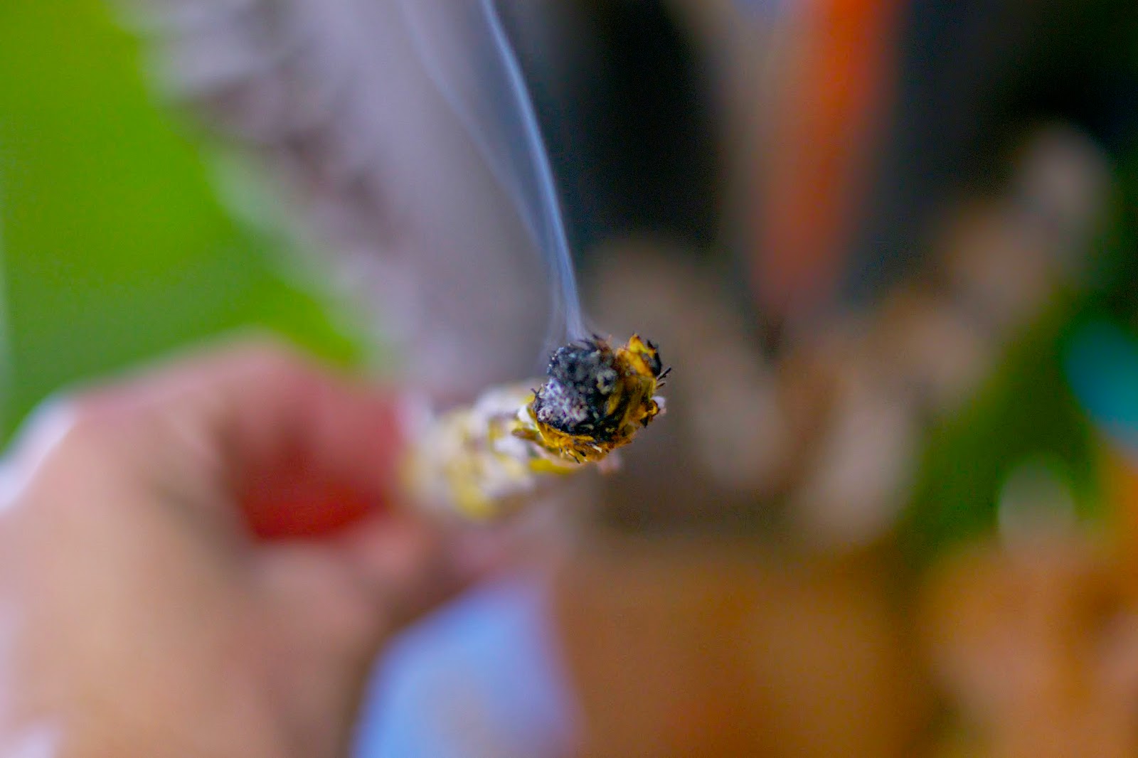 Little Owl Arts: A smattering of happenings...