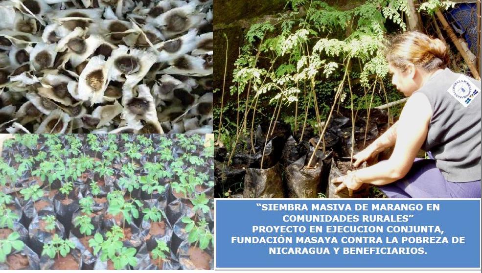 FUNDACION MASAYA CONTRA LA POBREZA. NICARAGUA: FUNDACION IMPULSA ...