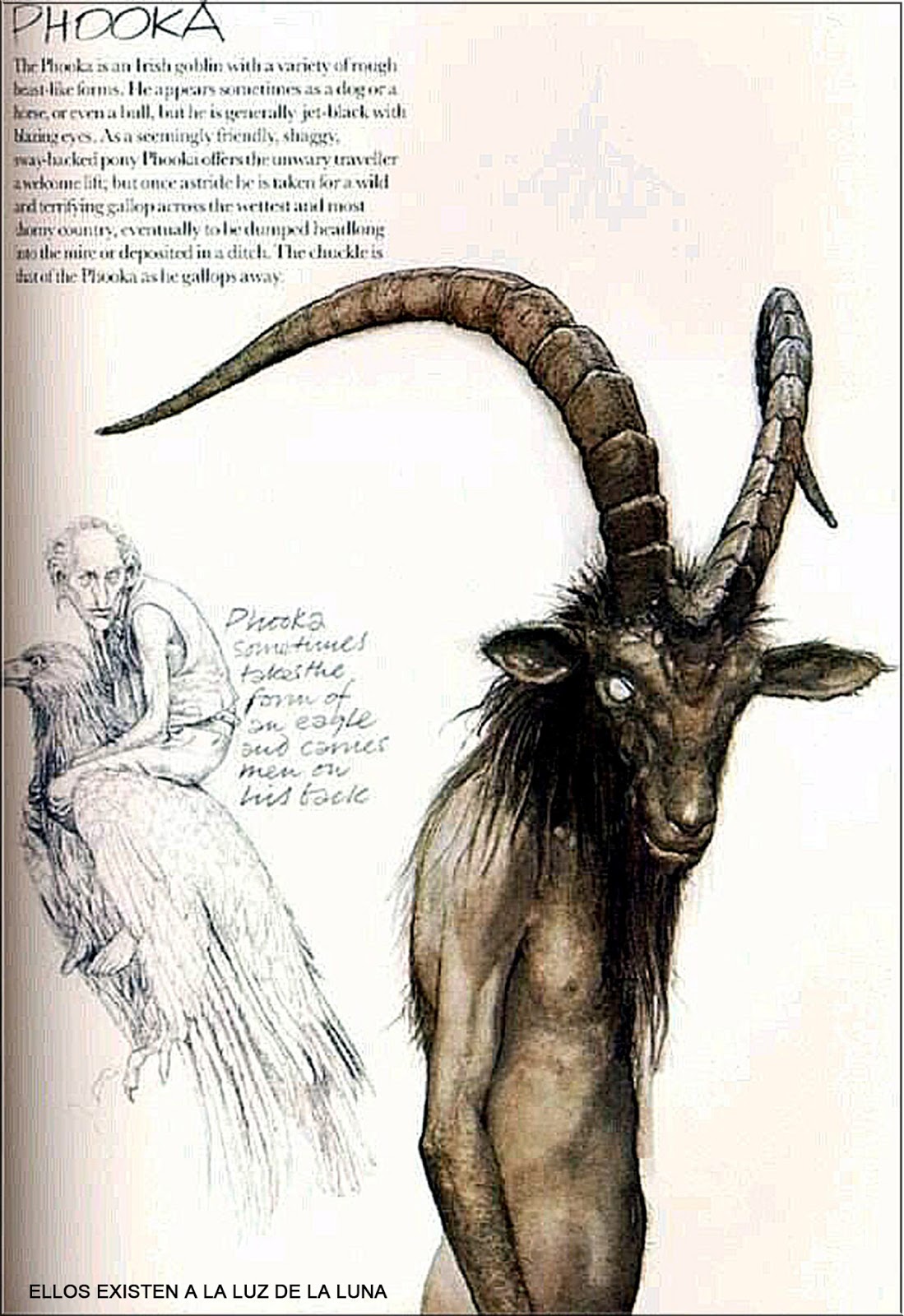 ELLOS EXISTEN A LA LUZ DE LA LUNA: EL PHOOKA