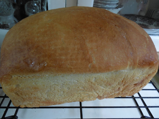 THE BLESSED HEARTH: Pickling by the Bay of Fundy...