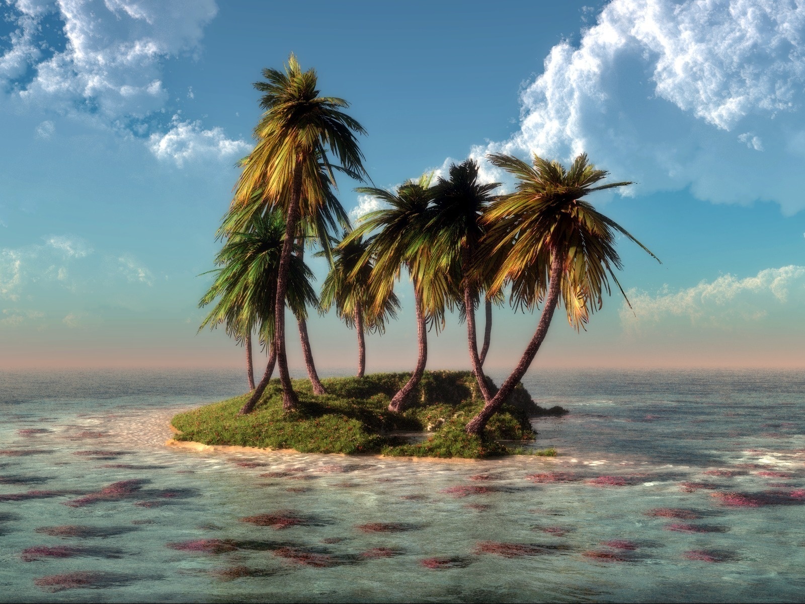 Wallpapers palmeras - Imagui