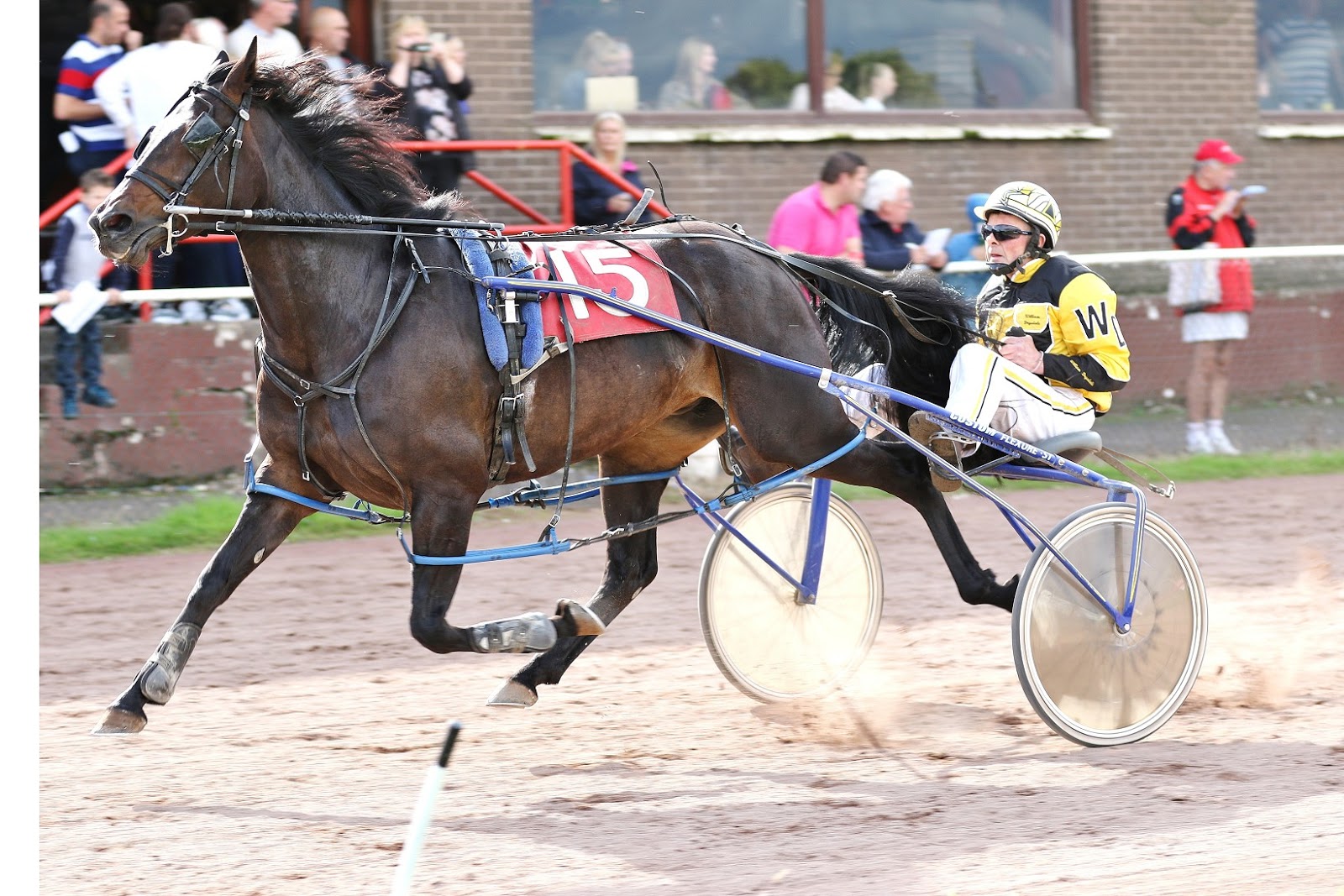 Harness Racing in the UK: Oakwood Stud Mares Pacing Series 2017 - Meet ...