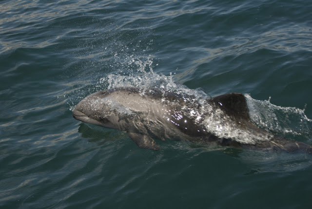 Neil Calbrade Photography: Memories...