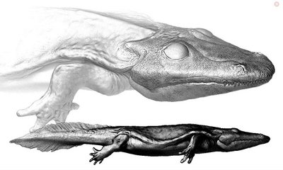 A origem dos Tetrápodes | Eu Quero Biologia