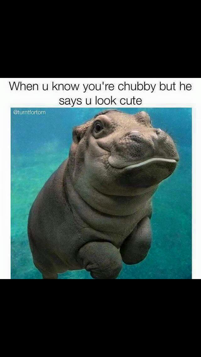 Things that are Funny (100 Pics) - YourDestinationNow