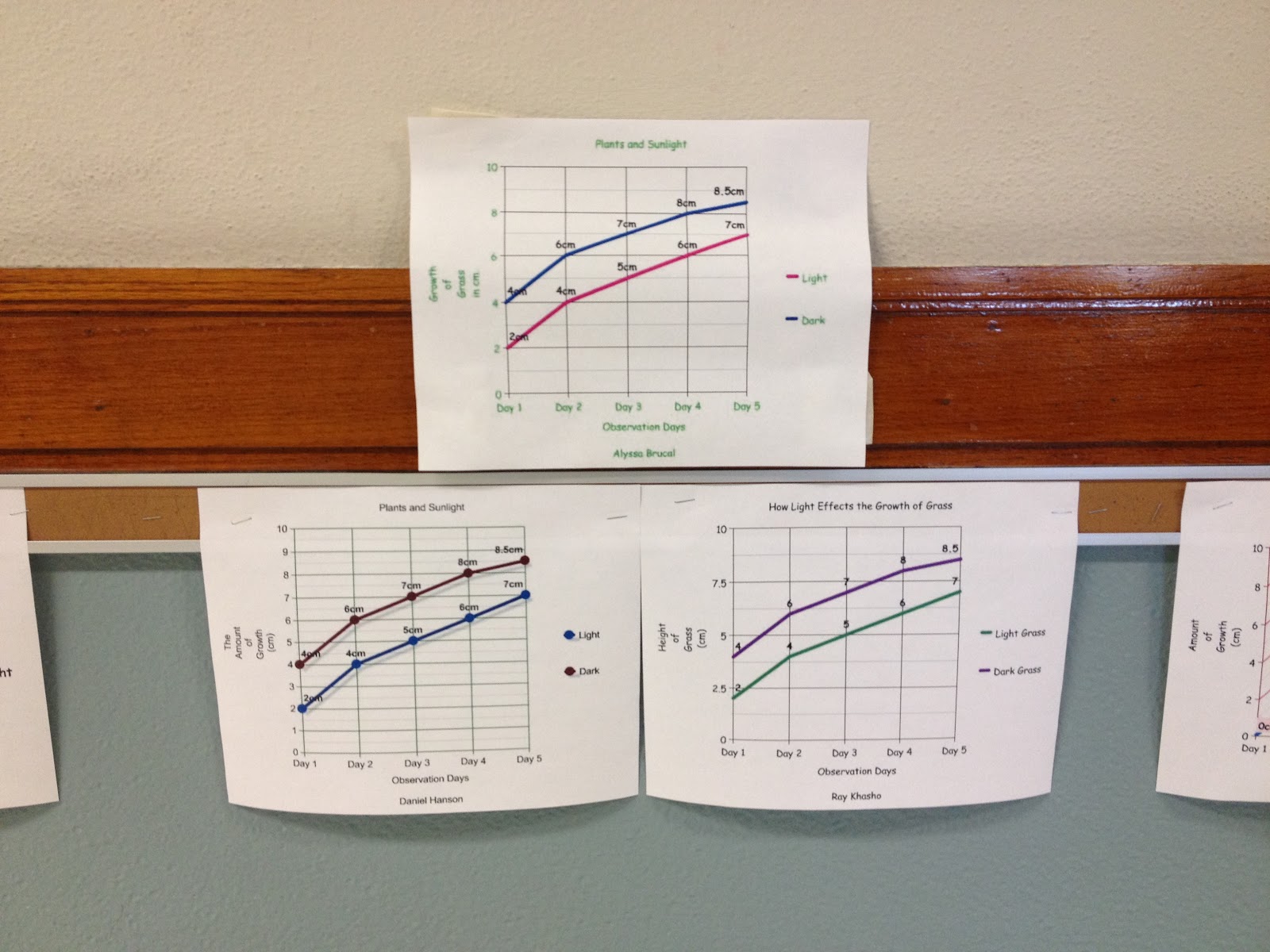 Bits and Pieces of Middle School: Plant Growth Experiments