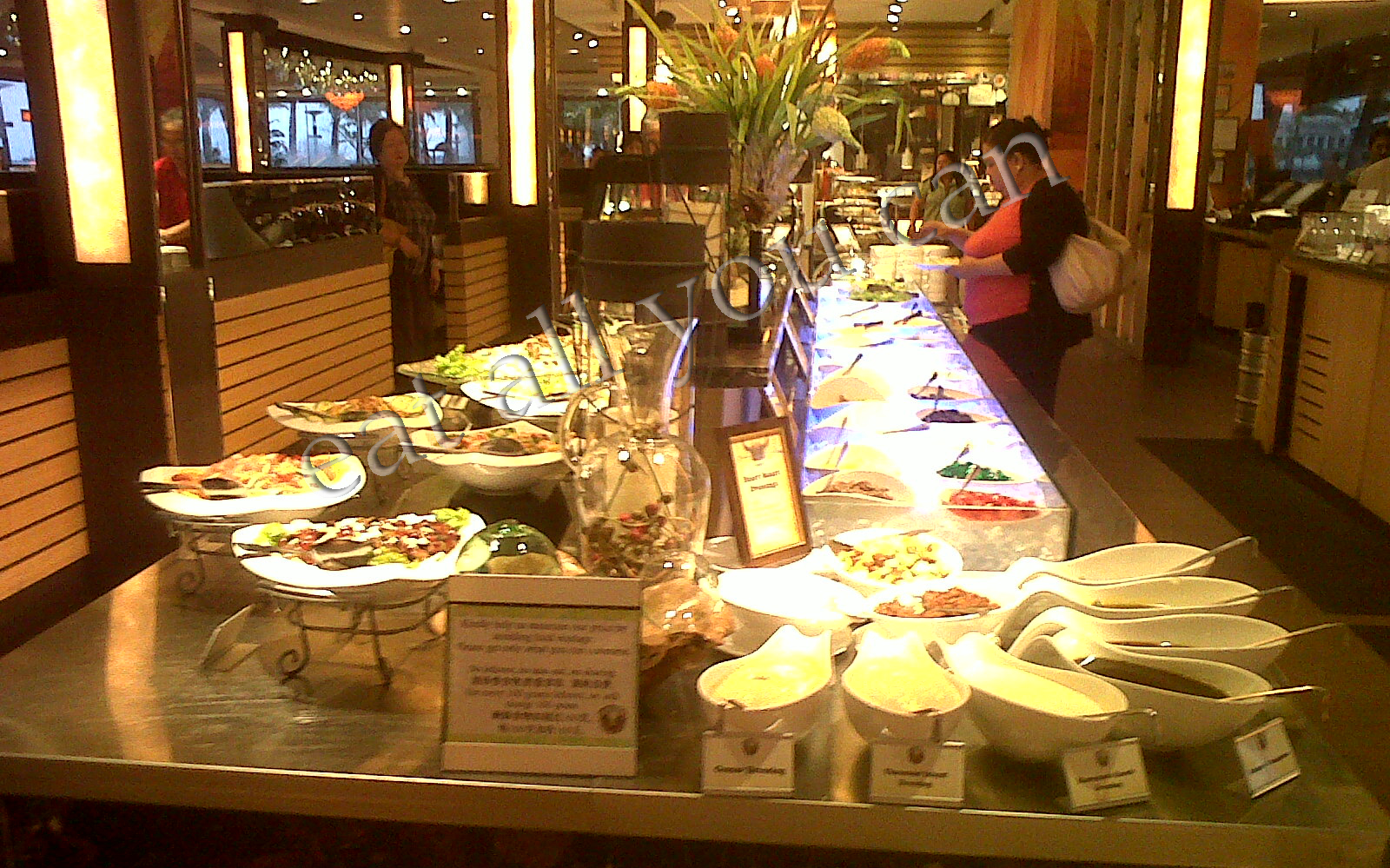 eat all you can: Vikings - A Feast from the Sea (Luxury Buffet)