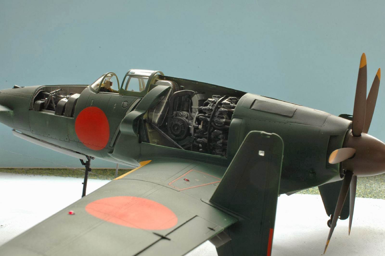 WildEagles: Kyushu J7W1 "Shinden" by Bernhard Tomaschitz