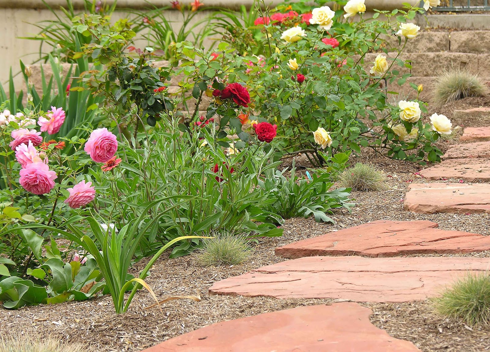 Evolution Of One Garden Section Over 15 Years