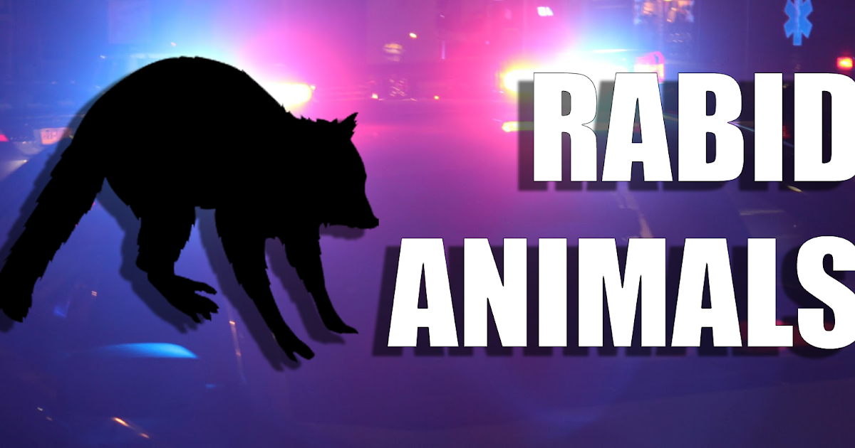 After Recent Rabid Animal Incidents; Ashland Residents Urged to Use Caution