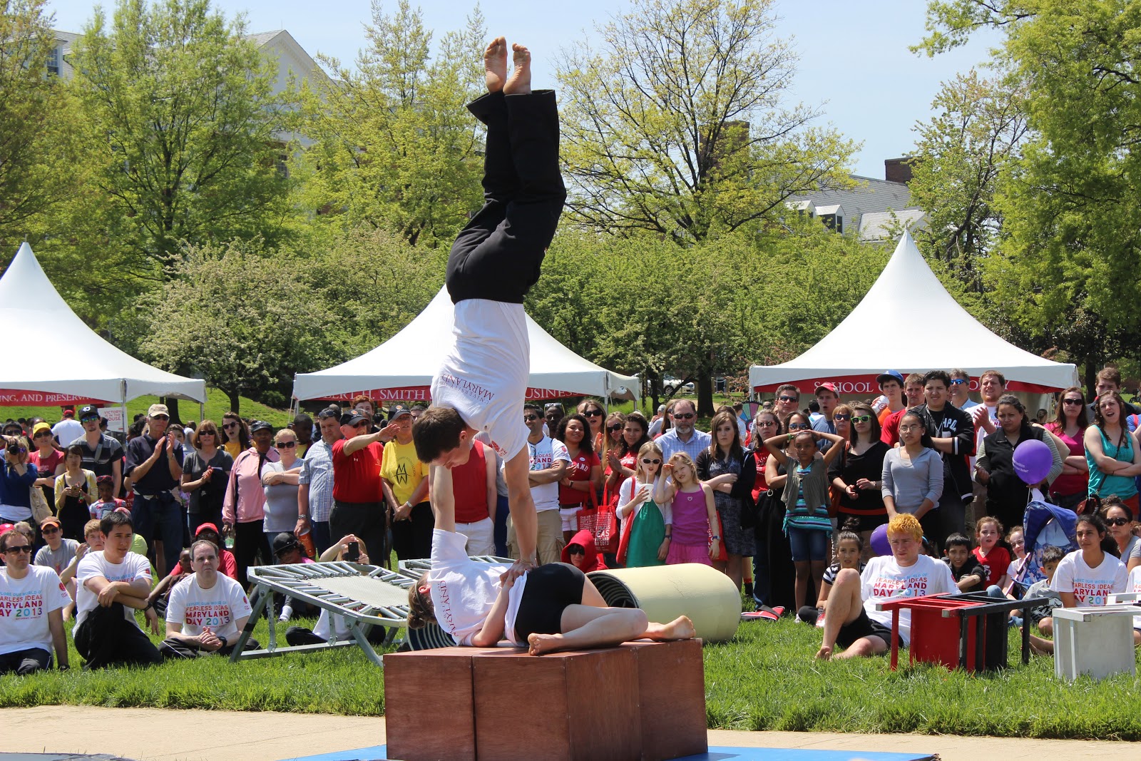 University of Maryland School of Public Health: The Healthy Turtle ...