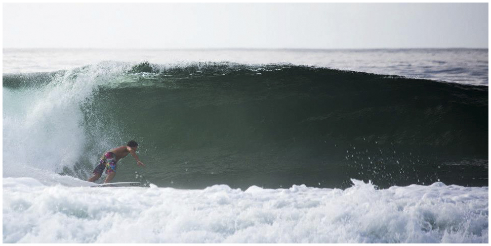 swop surfboards: ASSINIE MAFIA