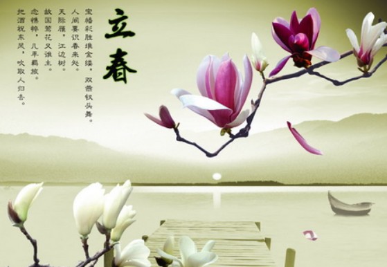 A little bit of everything: Li Chun (立春) 4th February