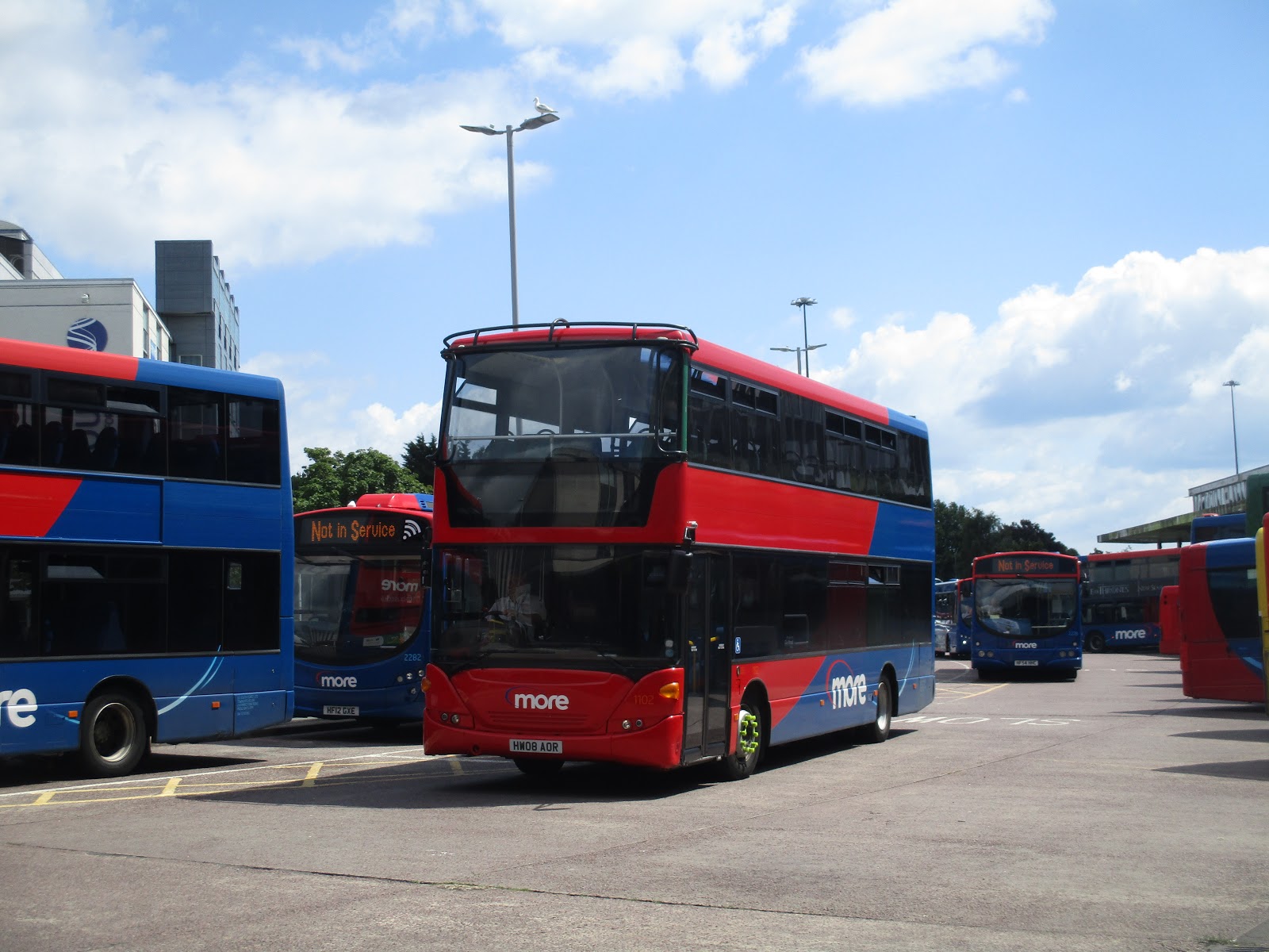 Lous bus pictures: Dorset Buses