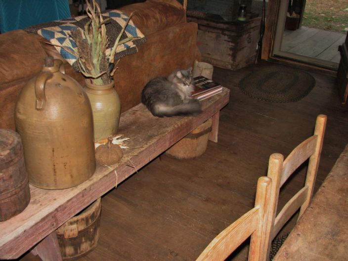 The Old Tattered Flag: A primitive homestead tour.....