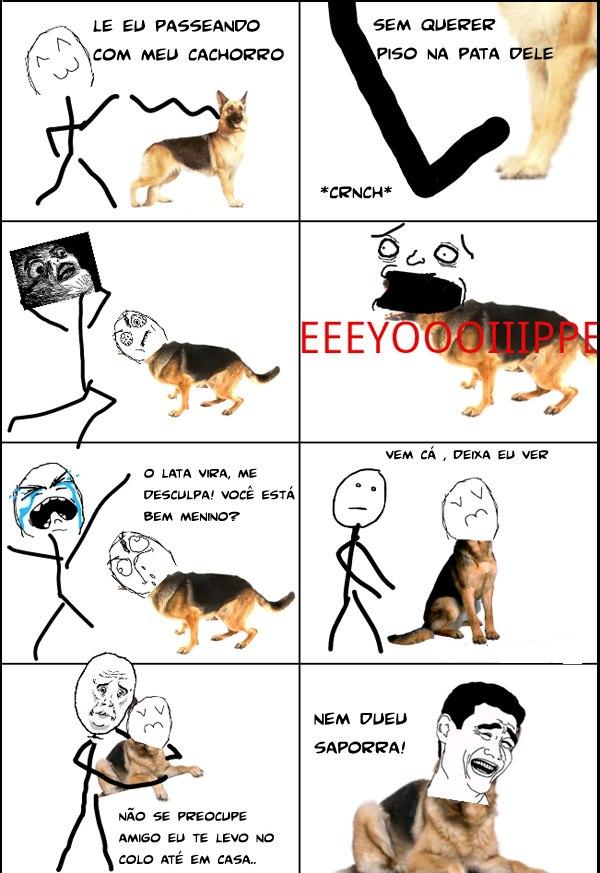 Mundo dos Memes: Vira lata nem doeu