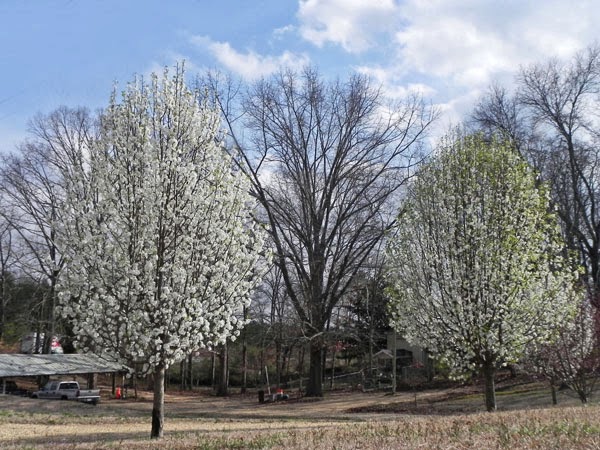 The Camping Queen: Hot Springs National Park, Arkansas