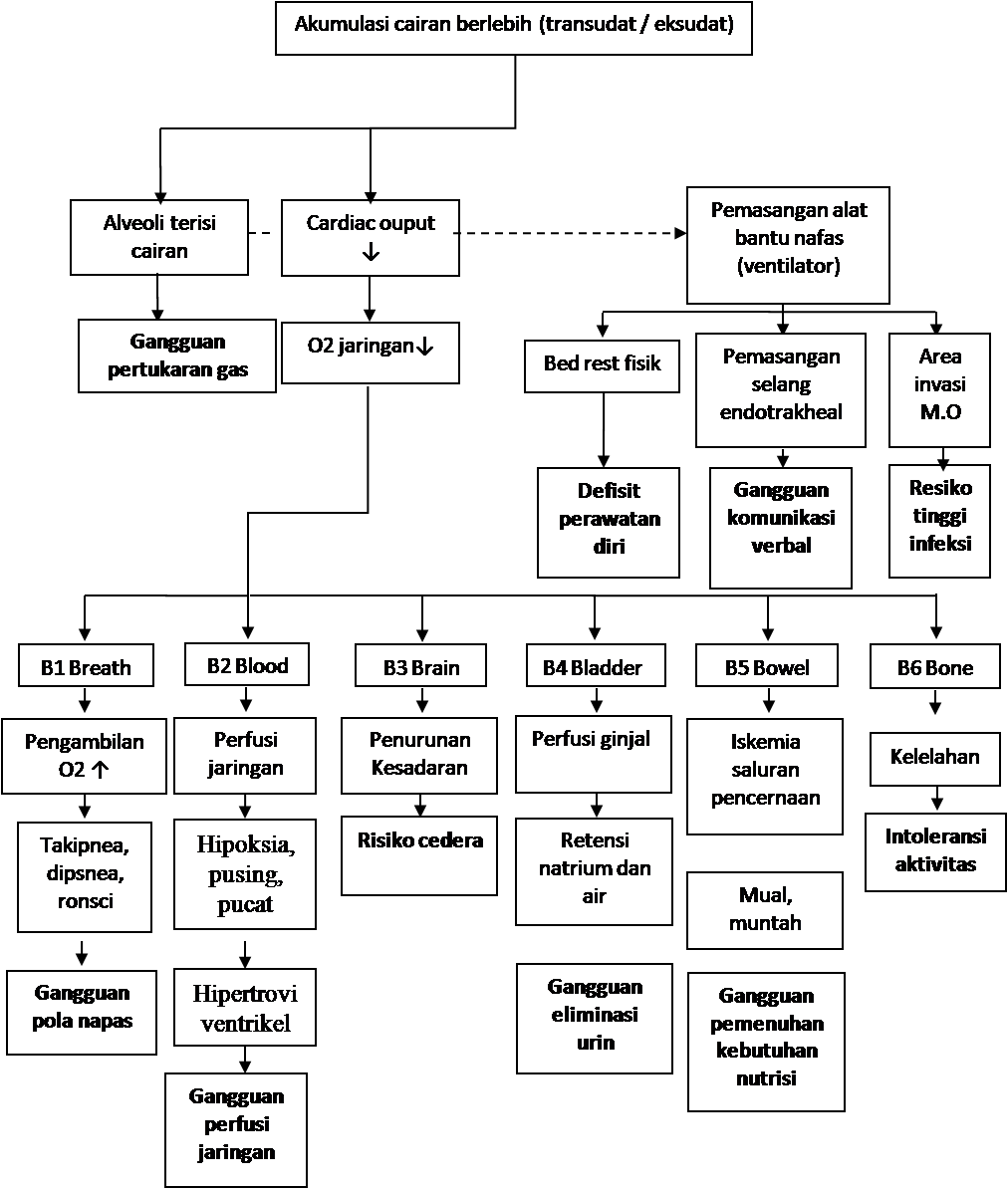 Health Educations: ASKEP EDEMA PARU