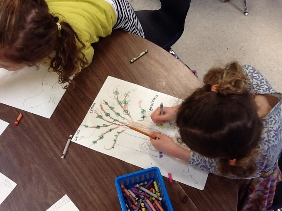 Division 1 and 2: Let's BRANCH out and learn about trees!